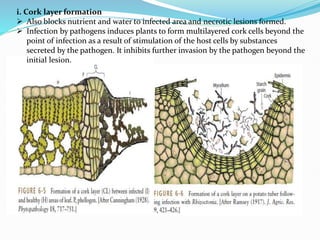 defence mechanisin chapter 5-OBU.pptx