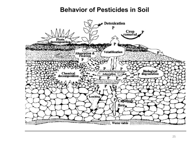 Chapter 5 - Pesticides.pdf | Brain and Nervous System Disorders | Diseases and Conditions