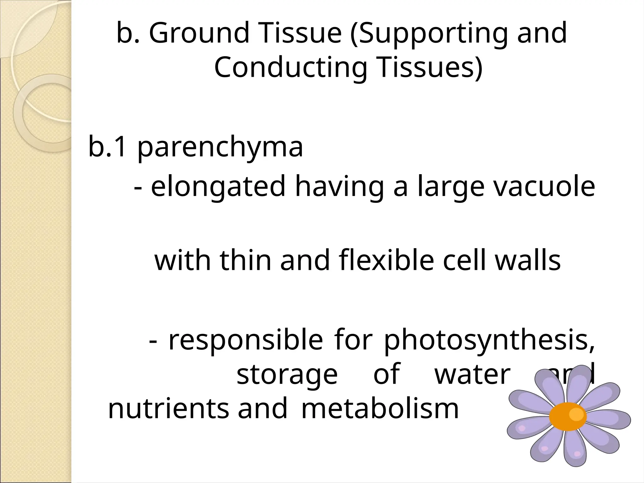 chapter 5-plant tissues and organ systems.pptx