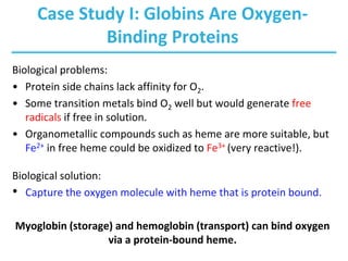Protein Function - General Biology 2 Lesson | PPT