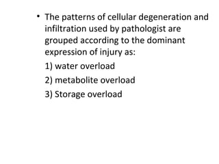 Regeneration & Degeneration | PPT