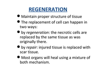 Regeneration & Degeneration | PPT
