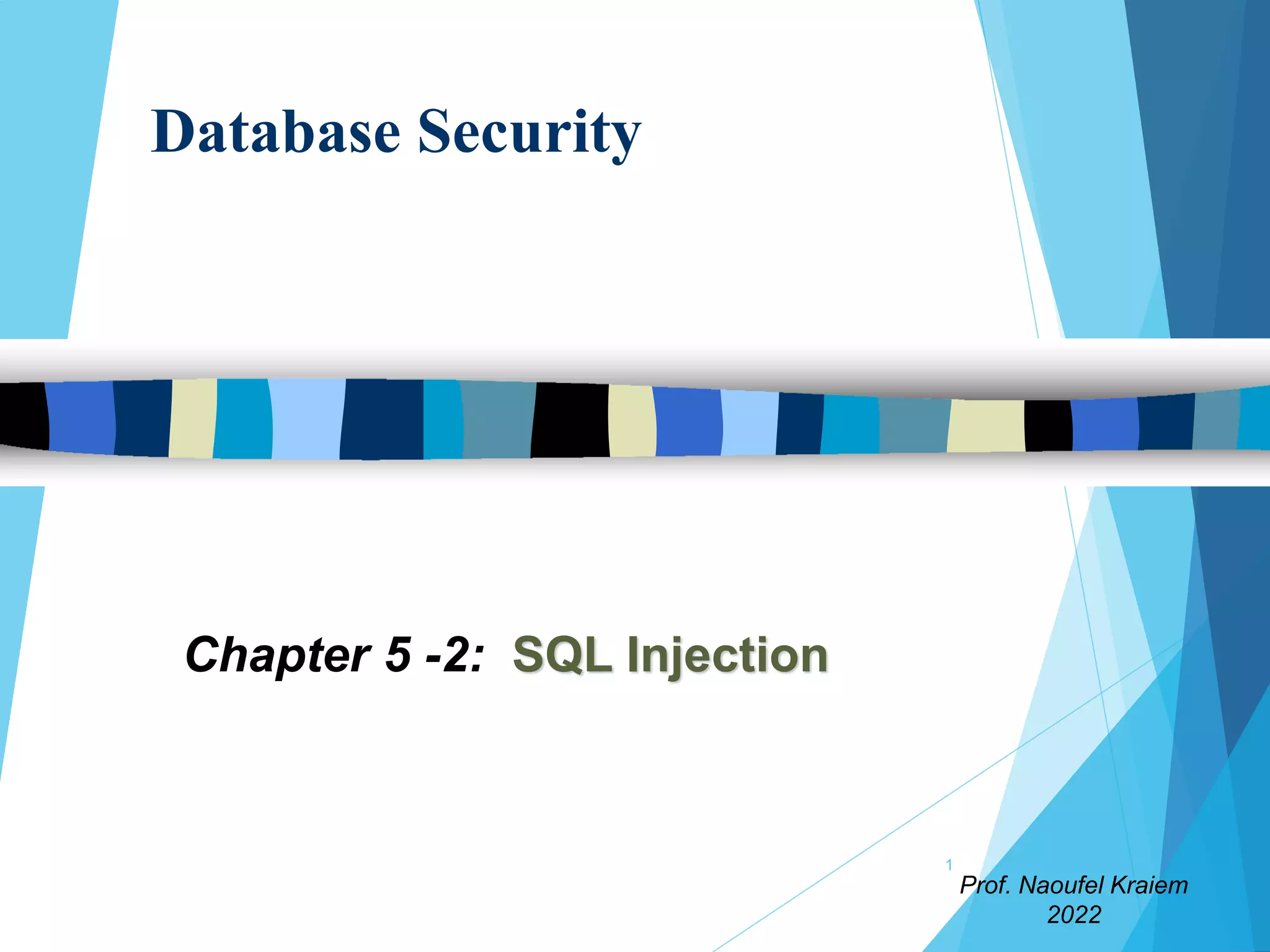 Chapter 5 - SQL-Injection-NK.pdf | Databases | Computer Software and Applications