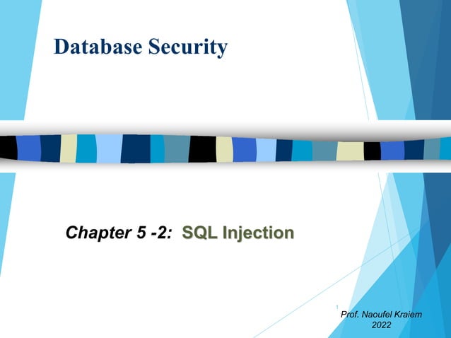 Chapter 5 - SQL-Injection-NK.pdf | Databases | Computer Software and Applications