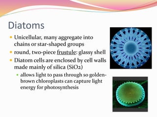 Chapter 5 - The Microbial World | PPTX