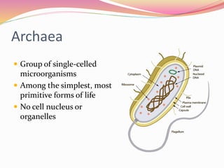 Chapter 5 - The Microbial World | PPTX