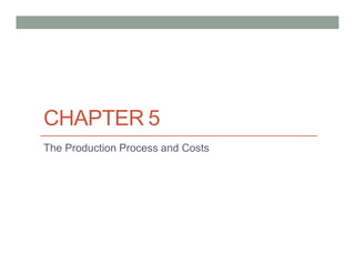 Chapter 5 the production process and costs | PPTX