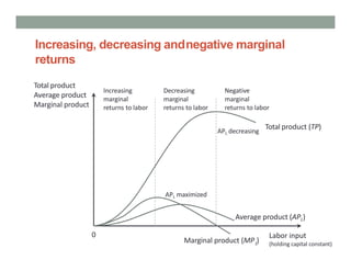Chapter 5 the production process and costs | PPTX