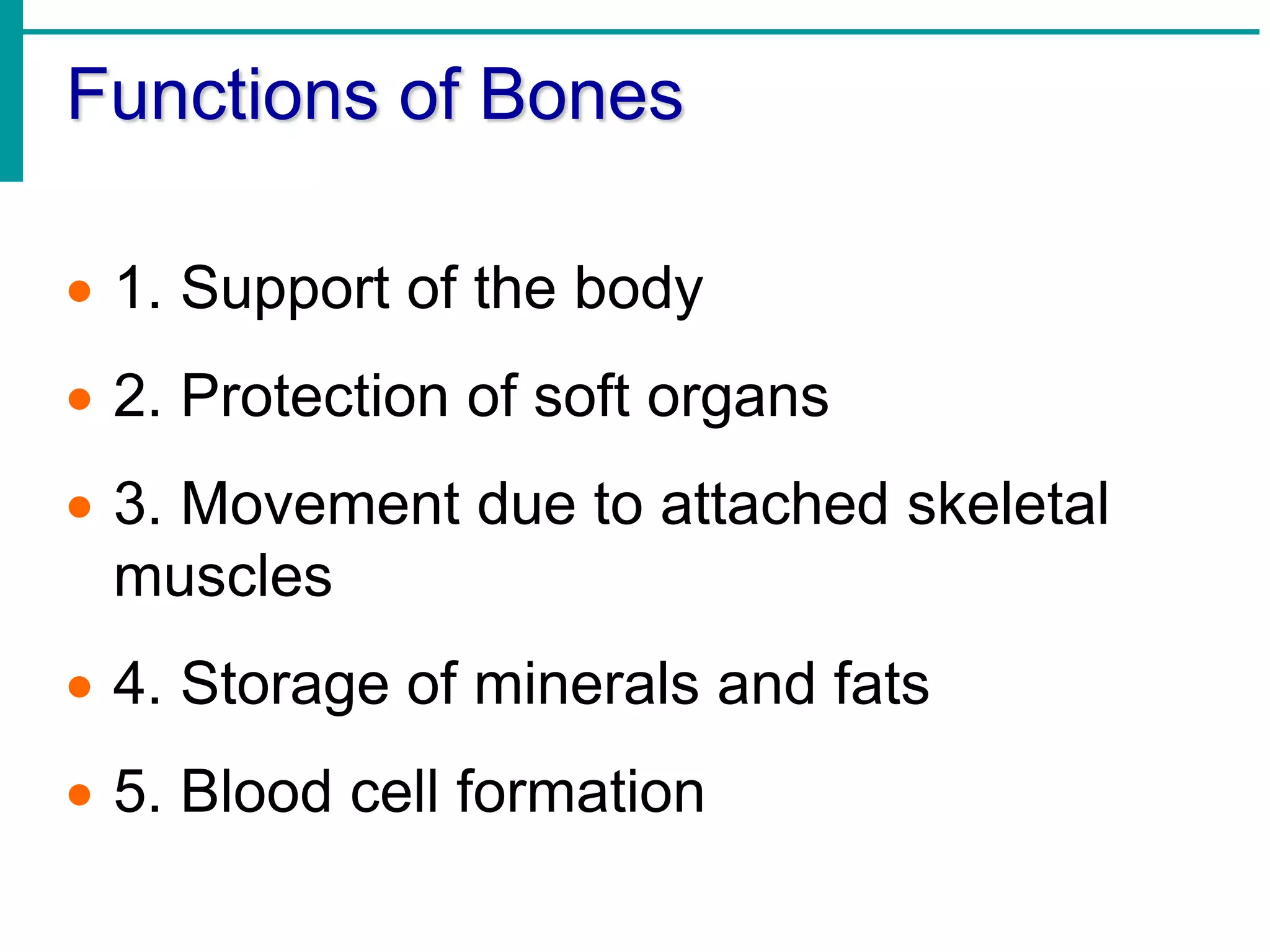 Chapter 5 - The Skeletal System | PPTX