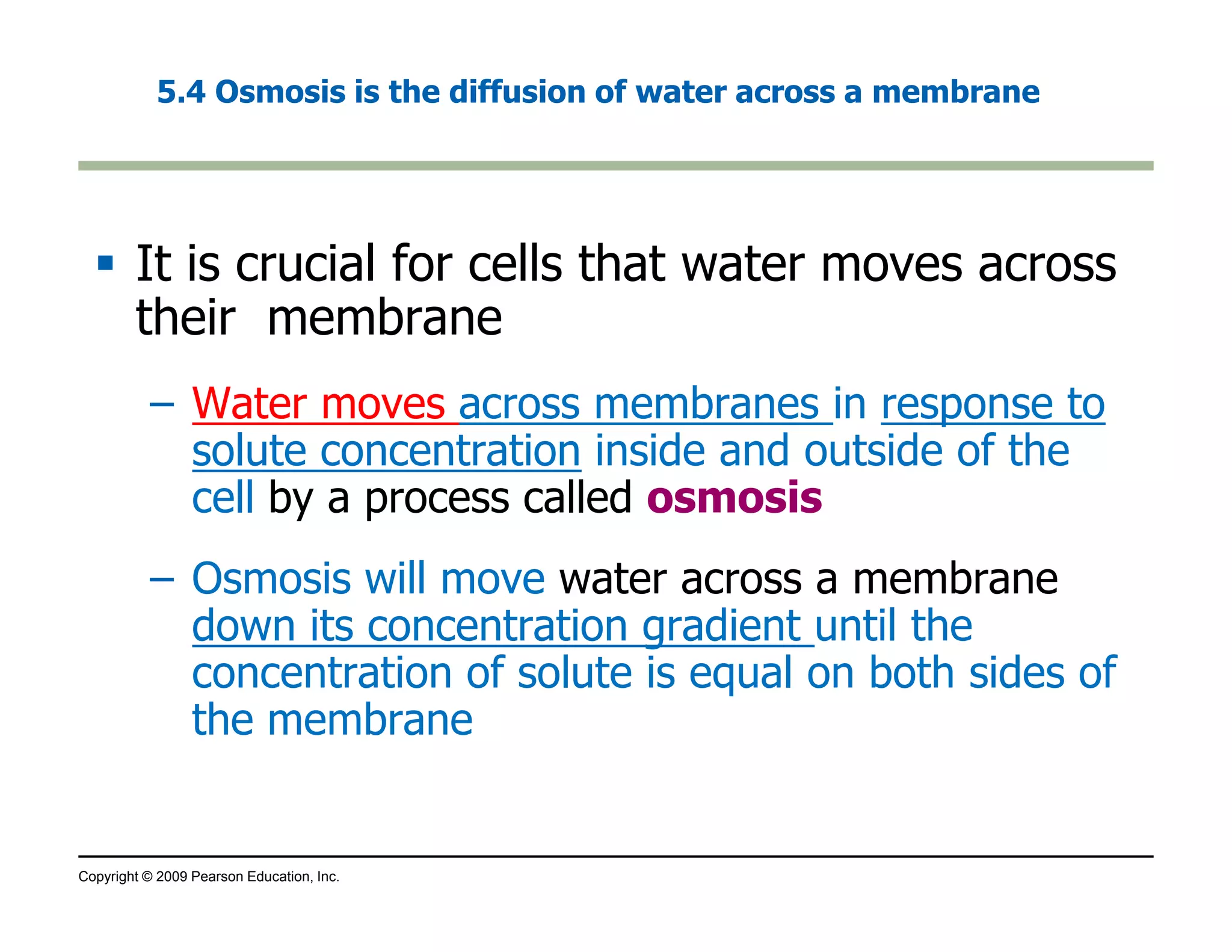 Chapter 5 the working cells [compatibility mode] | PPT