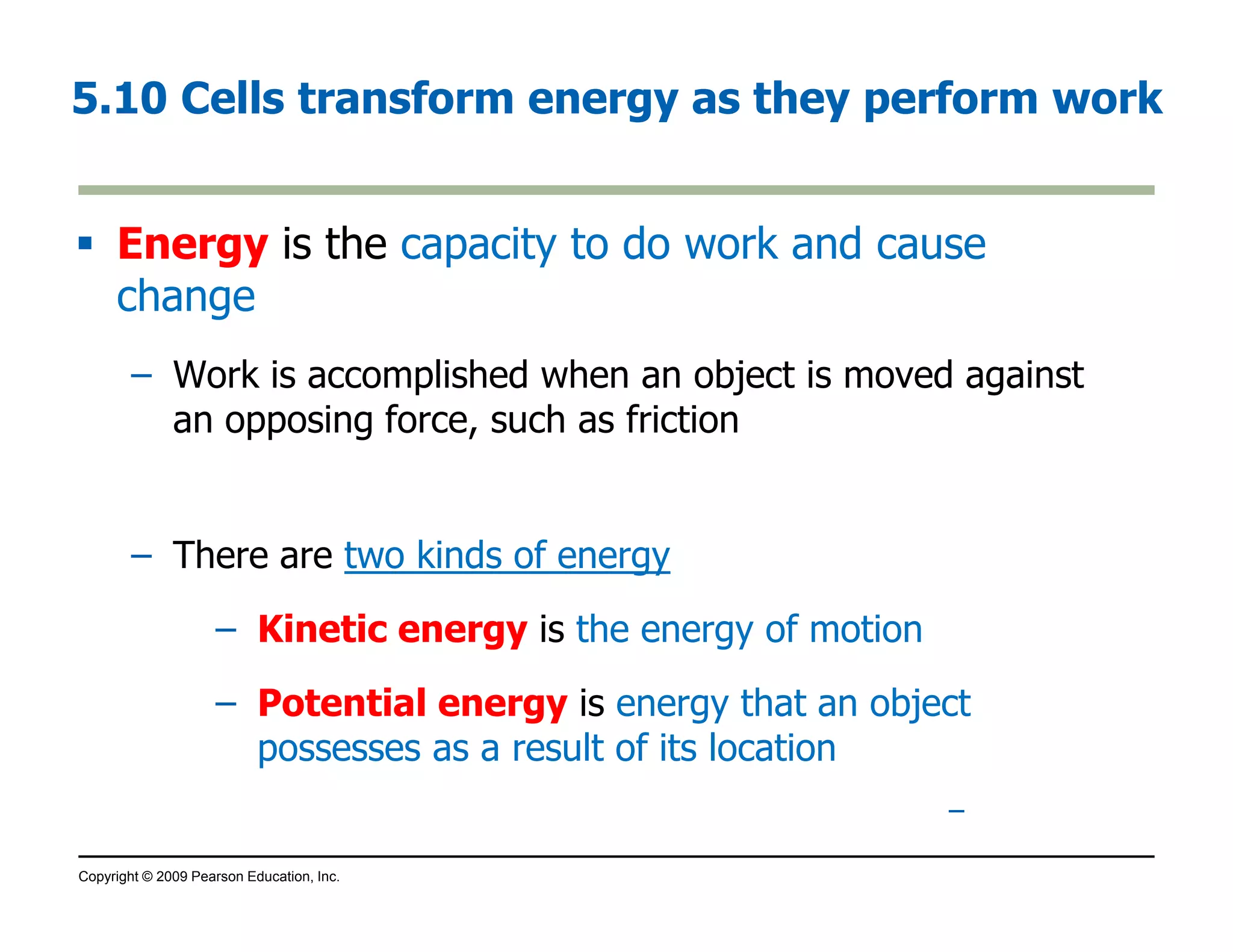 Chapter 5 the working cells [compatibility mode] | PPT