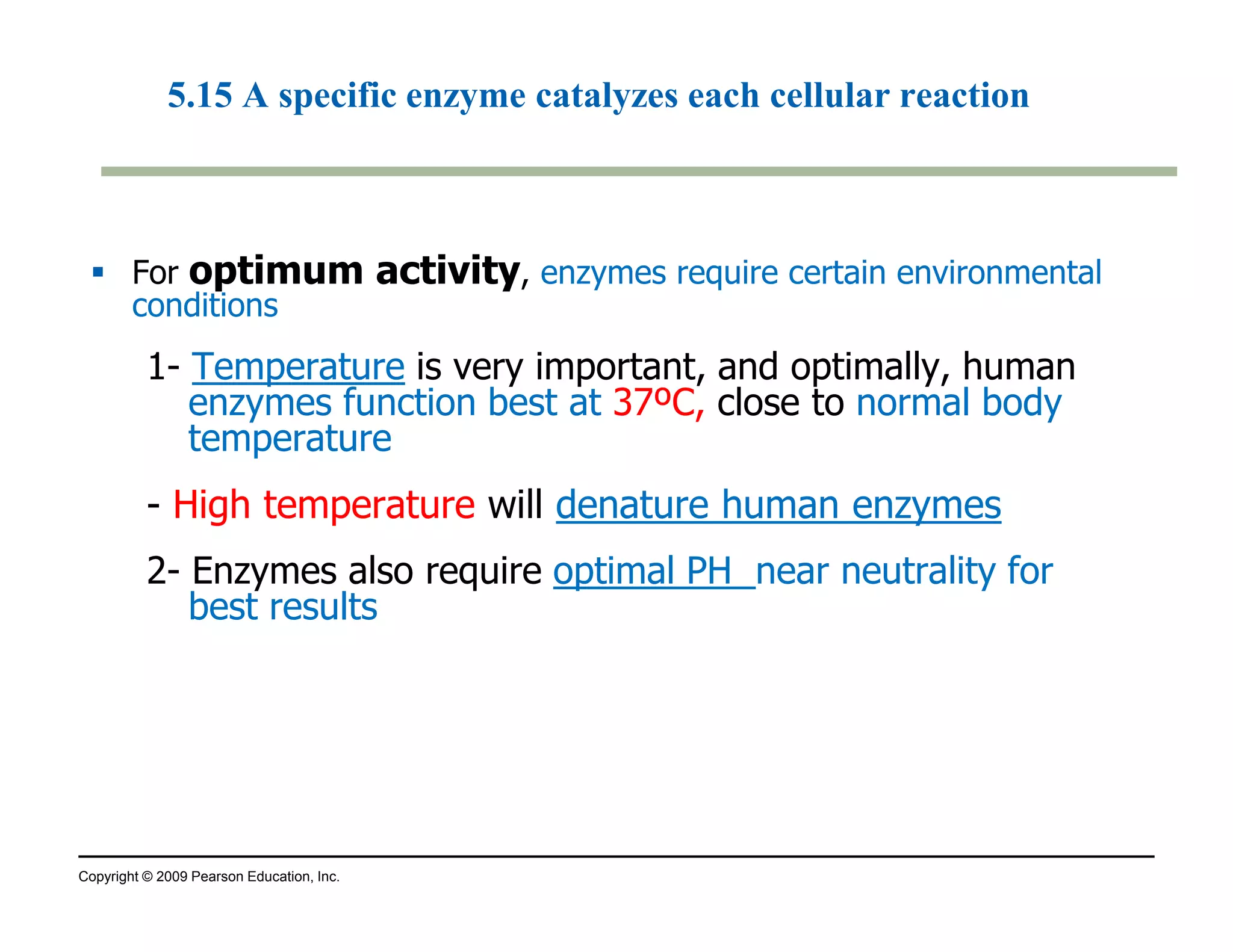 Chapter 5 the working cells [compatibility mode] | PPT