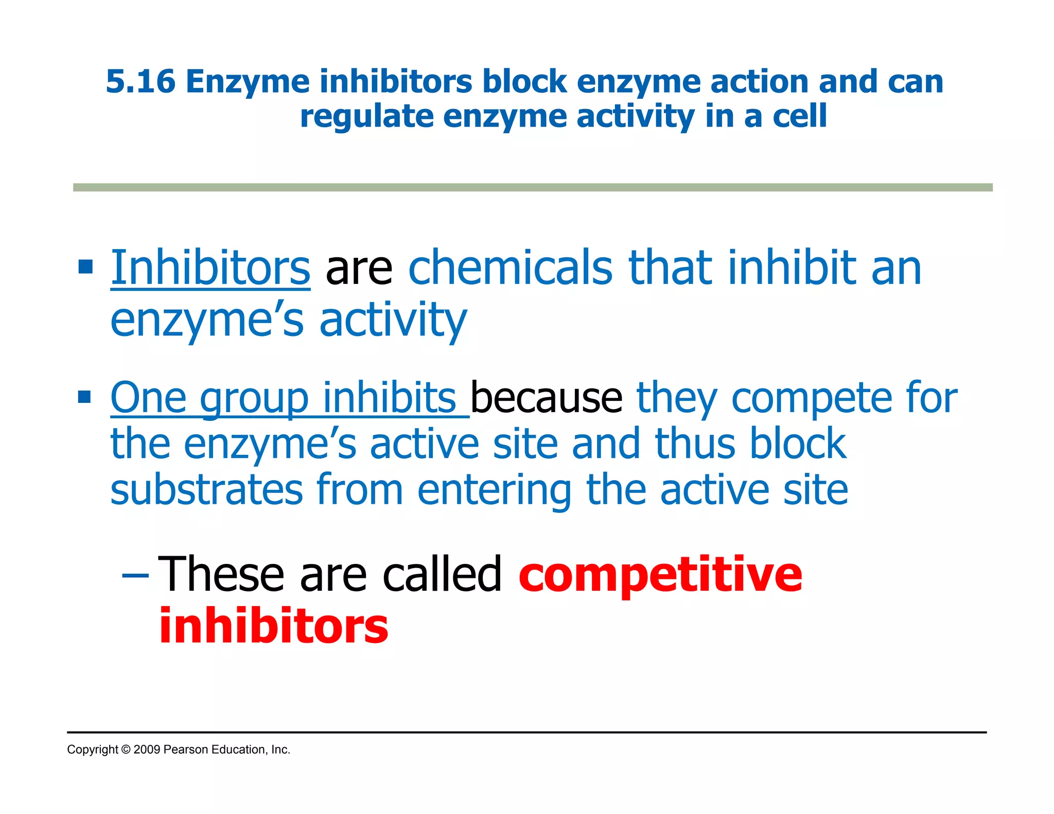 Chapter 5 the working cells [compatibility mode] | PPT
