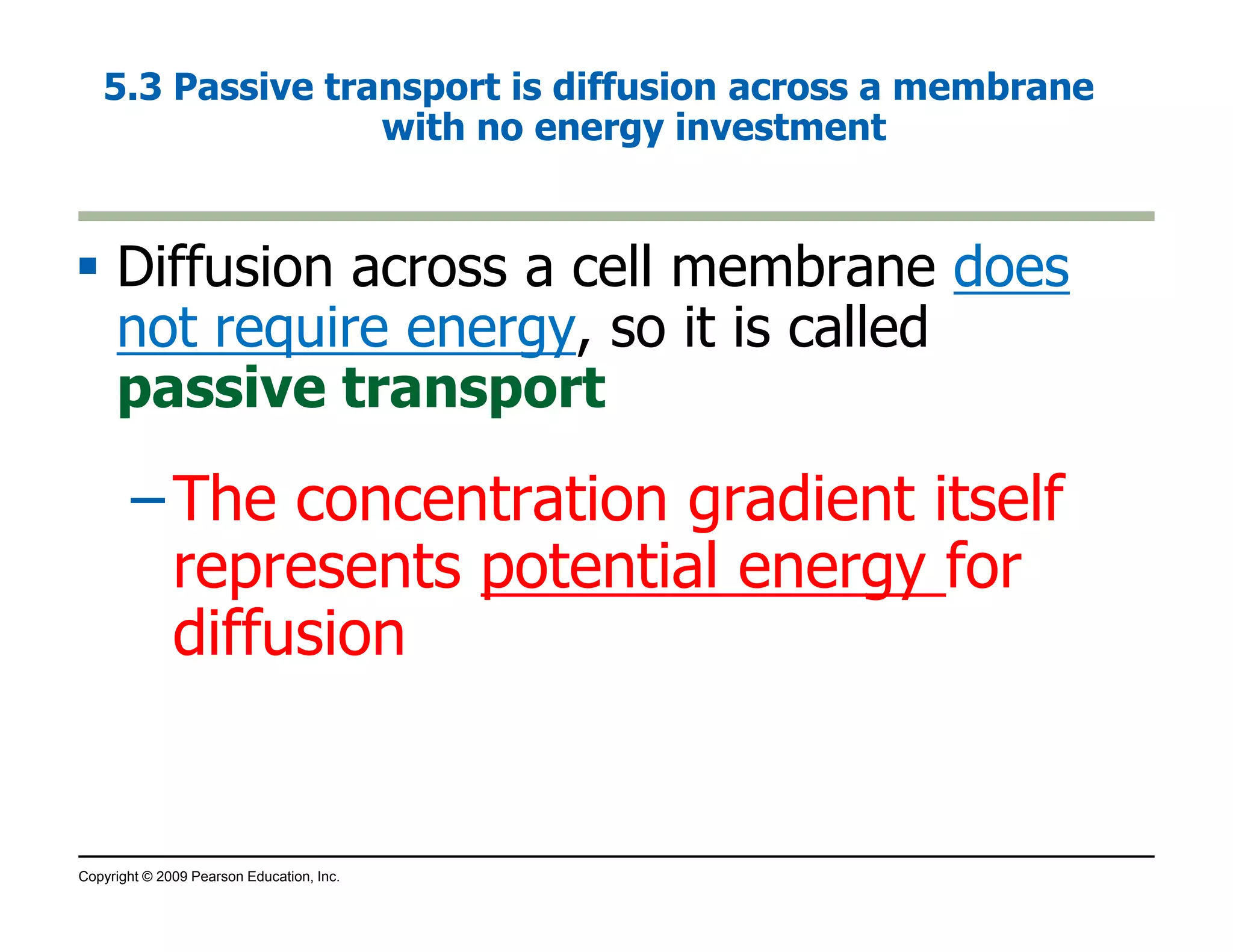 Chapter 5 the working cells [compatibility mode] | PPT