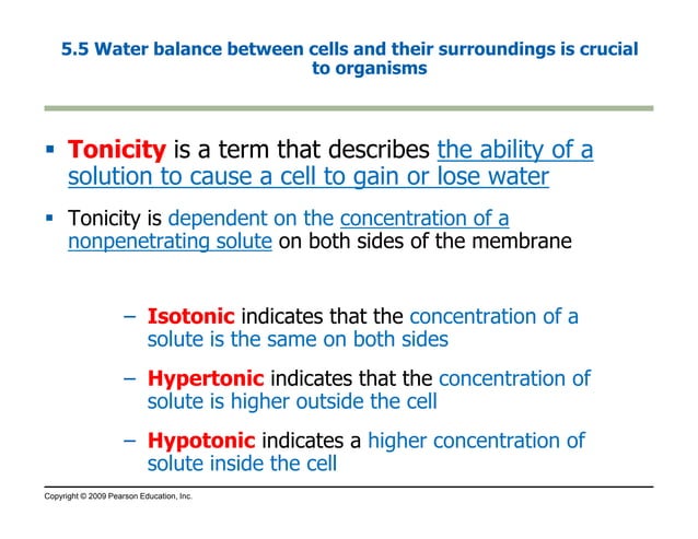 Chapter 5 the working cells [compatibility mode] | PPT