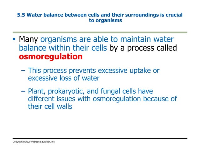 Chapter 5 the working cells [compatibility mode] | PPT