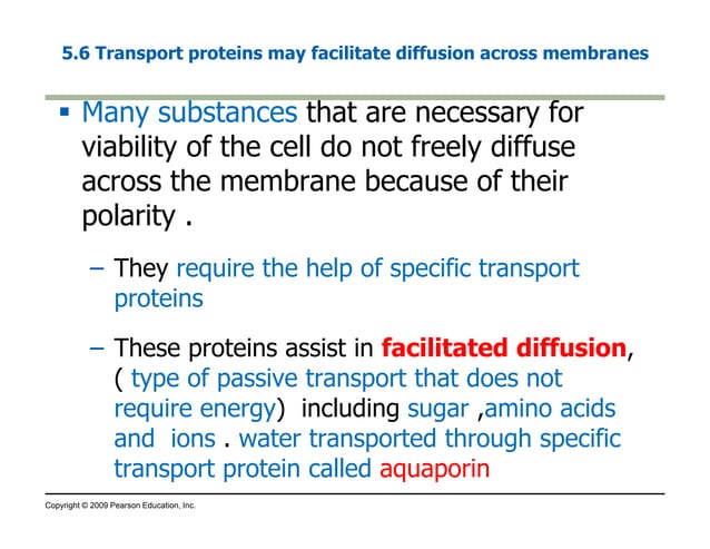 Chapter 5 the working cells [compatibility mode] | PPT