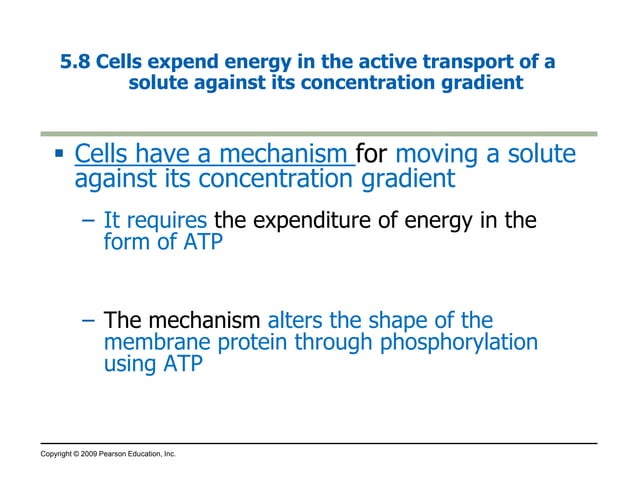 Chapter 5 the working cells [compatibility mode] | PPT