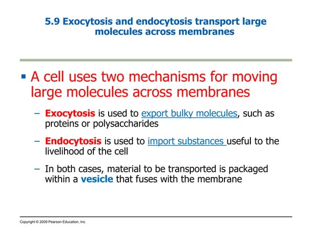 Chapter 5 the working cells [compatibility mode] | PPT