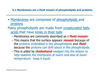 Chapter 5 the working cells [compatibility mode] | PPT