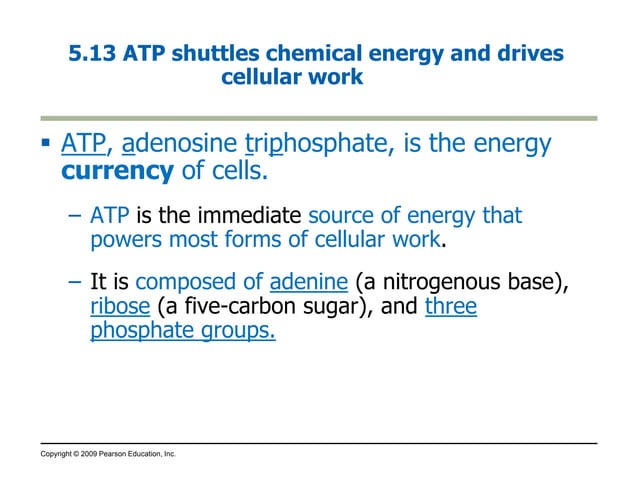 Chapter 5 the working cells [compatibility mode] | PPT