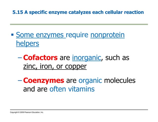 Chapter 5 the working cells [compatibility mode] | PPT