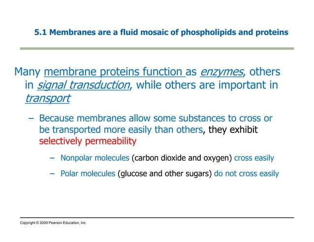 Chapter 5 the working cells [compatibility mode] | PPT