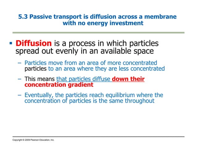 Chapter 5 the working cells [compatibility mode] | PPT