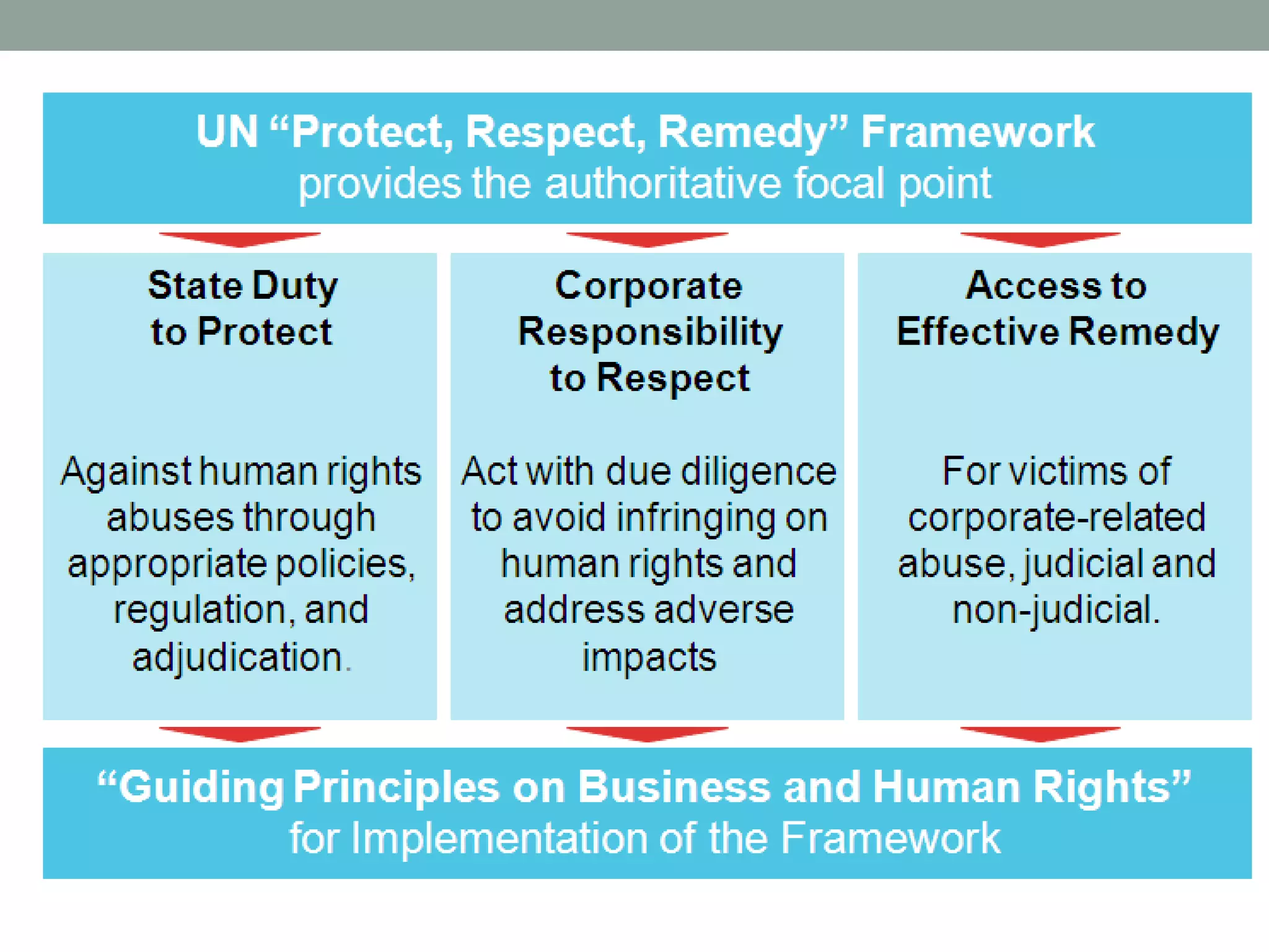 Chapter 5 ungc human rights | PPTX