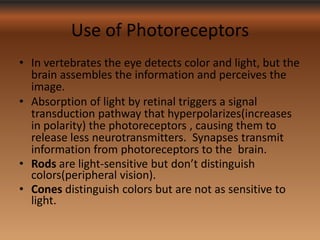 Chapter 50 ppt max chandler ii[1] | PPTX