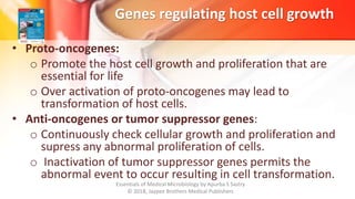 Chapter 51 Oncogenic Viruses.pptx for education | PPTX