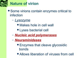 Chapter+5,+25,+37 (microbiology) 8th edition | PPT