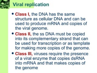 Chapter+5,+25,+37 (microbiology) 8th edition | PPT