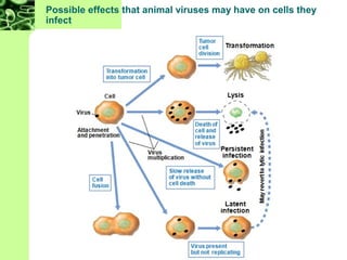 Chapter+5,+25,+37 (microbiology) 8th edition | PPT