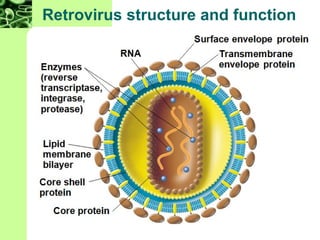 Chapter+5,+25,+37 (microbiology) 8th edition | PPT