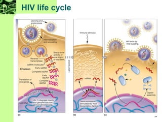 Chapter+5,+25,+37 (microbiology) 8th edition | PPT
