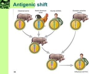 Chapter+5,+25,+37 (microbiology) 8th edition | PPT