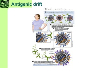 Chapter+5,+25,+37 (microbiology) 8th edition | PPT