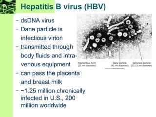 Chapter+5,+25,+37 (microbiology) 8th edition | PPT