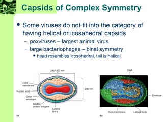 Chapter+5,+25,+37 (microbiology) 8th edition | PPT