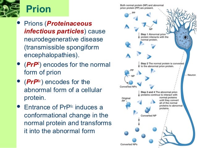 Chapter+5,+25,+37 (microbiology) 8th edition