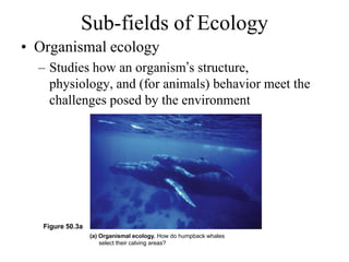 Chapter 52 ecology overview class | PDF