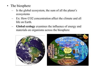 Chapter 52 ecology overview class | PDF