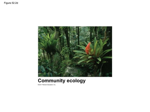 Introduction to Ecosystem and Ecology and the Biospehere | PPT