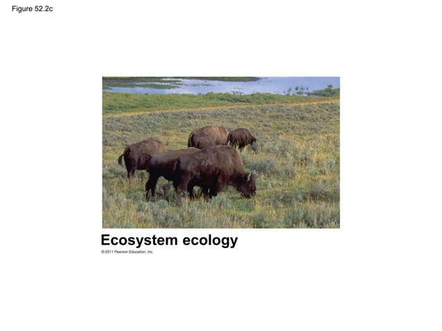 Introduction to Ecosystem and Ecology and the Biospehere | PPT