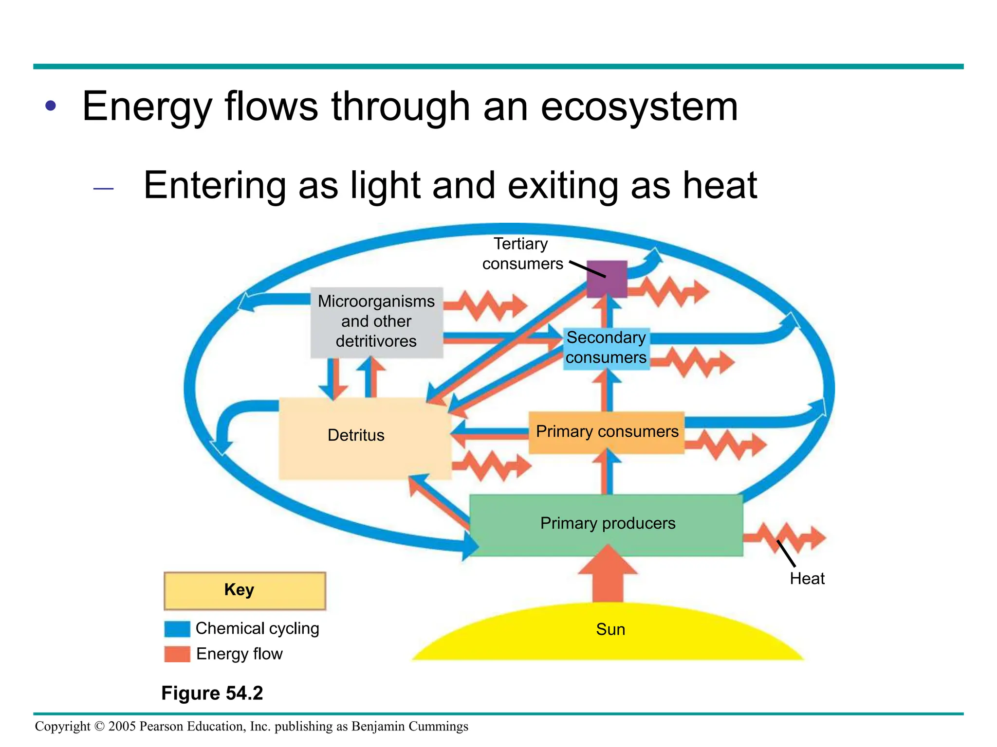 Chapter 54 Ecosystems (1). Powerpoint Lecture | PPTX