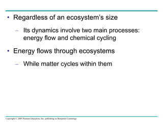 Chapter 54 Ecosystems (1). Powerpoint Lecture | PPTX