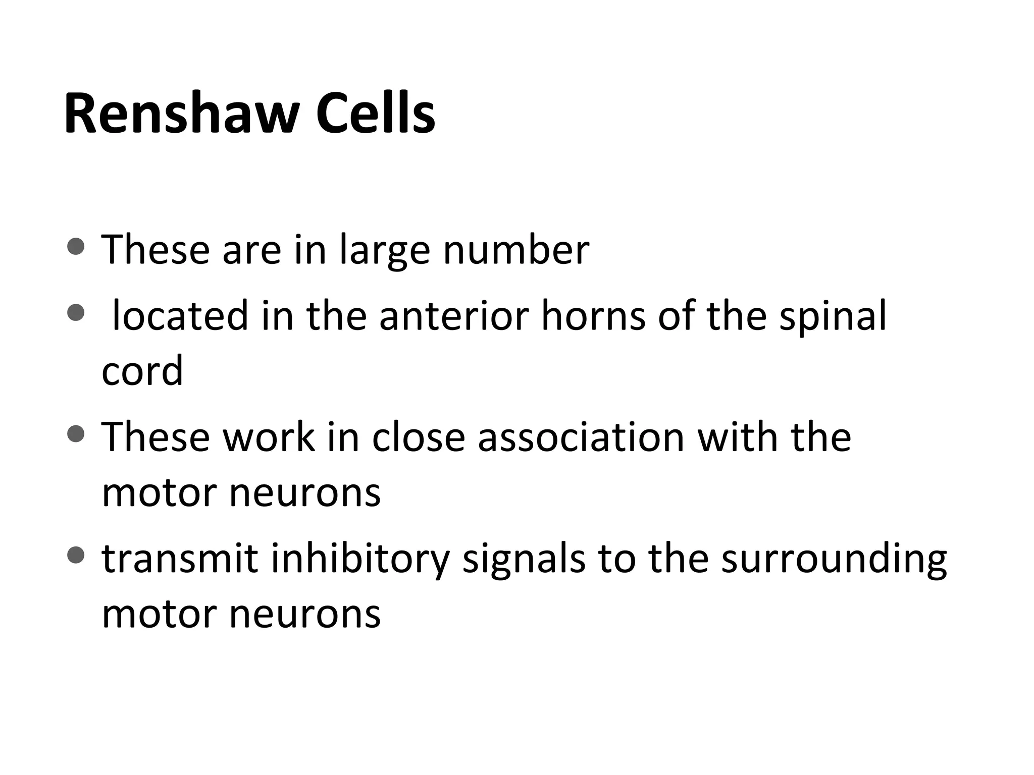 Chapter 55 Part 1Motor Functions of the spinal .pptcord.pdf