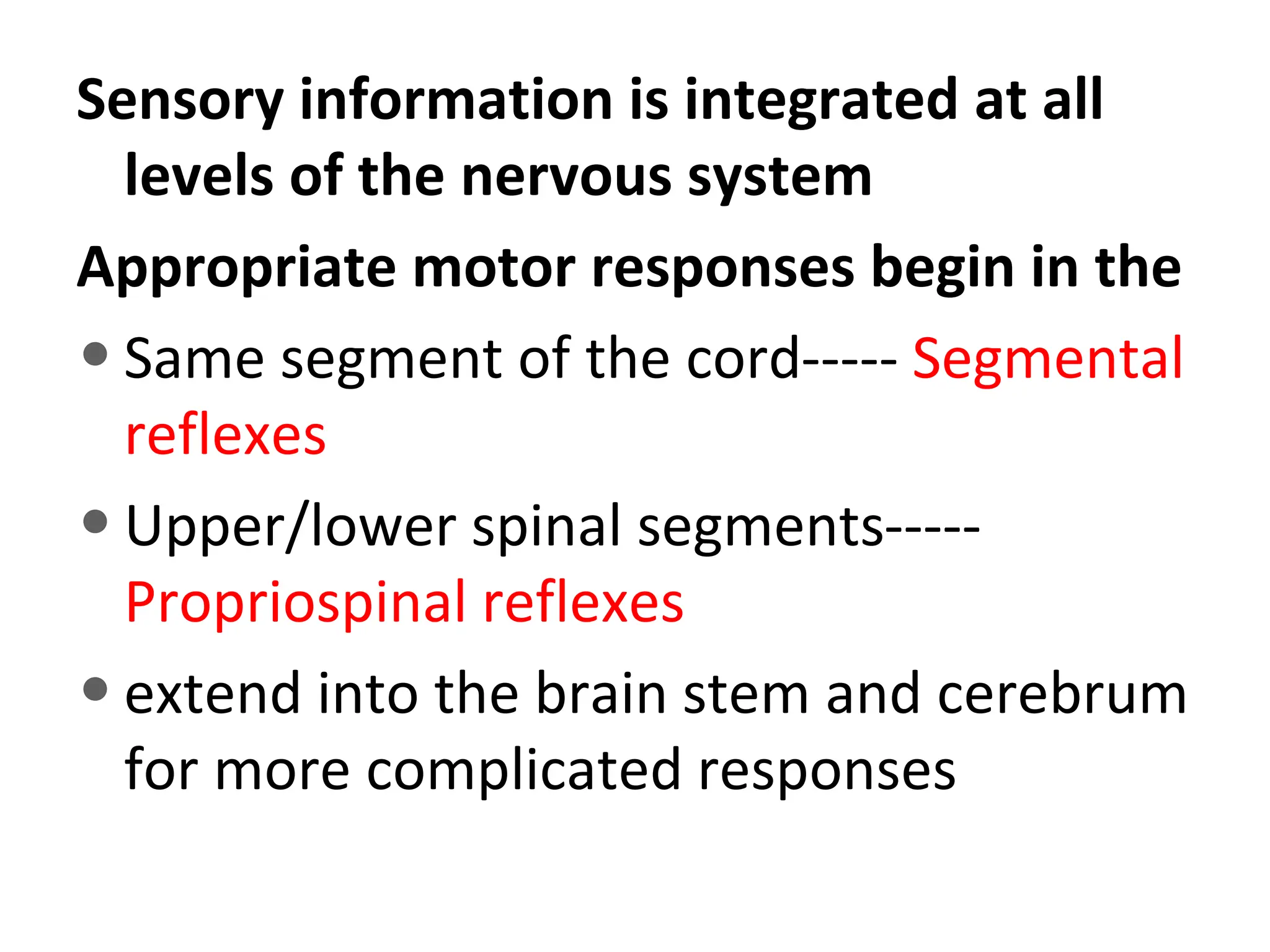 Chapter 55 Part 1Motor Functions of the spinal .pptcord.pdf