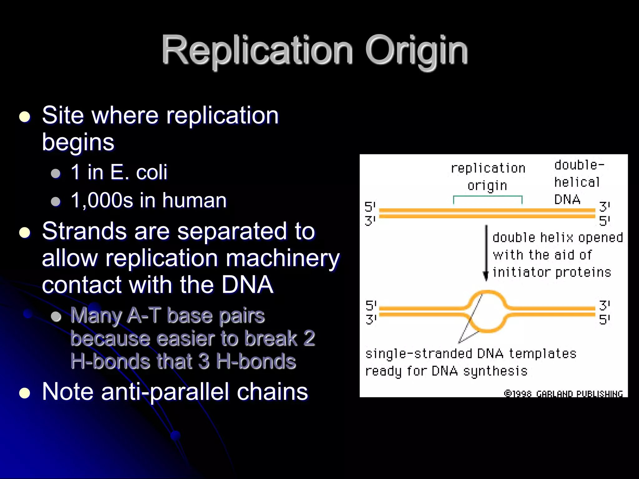Chapter 5 & 6 - DNA & DNA Replication.ppt